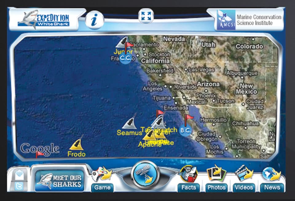 So, It's a Shark You're After? | Yachting