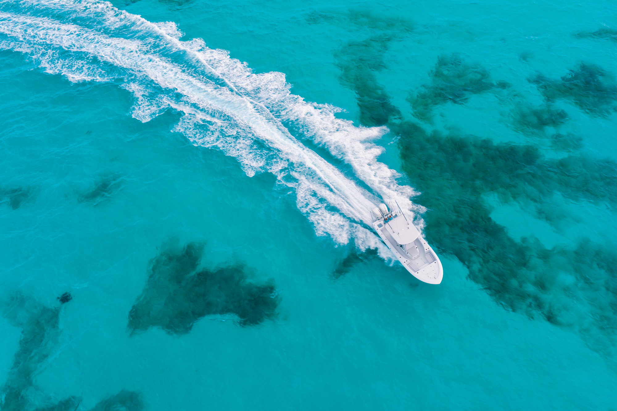 Top Fishing Tenders For 2025
